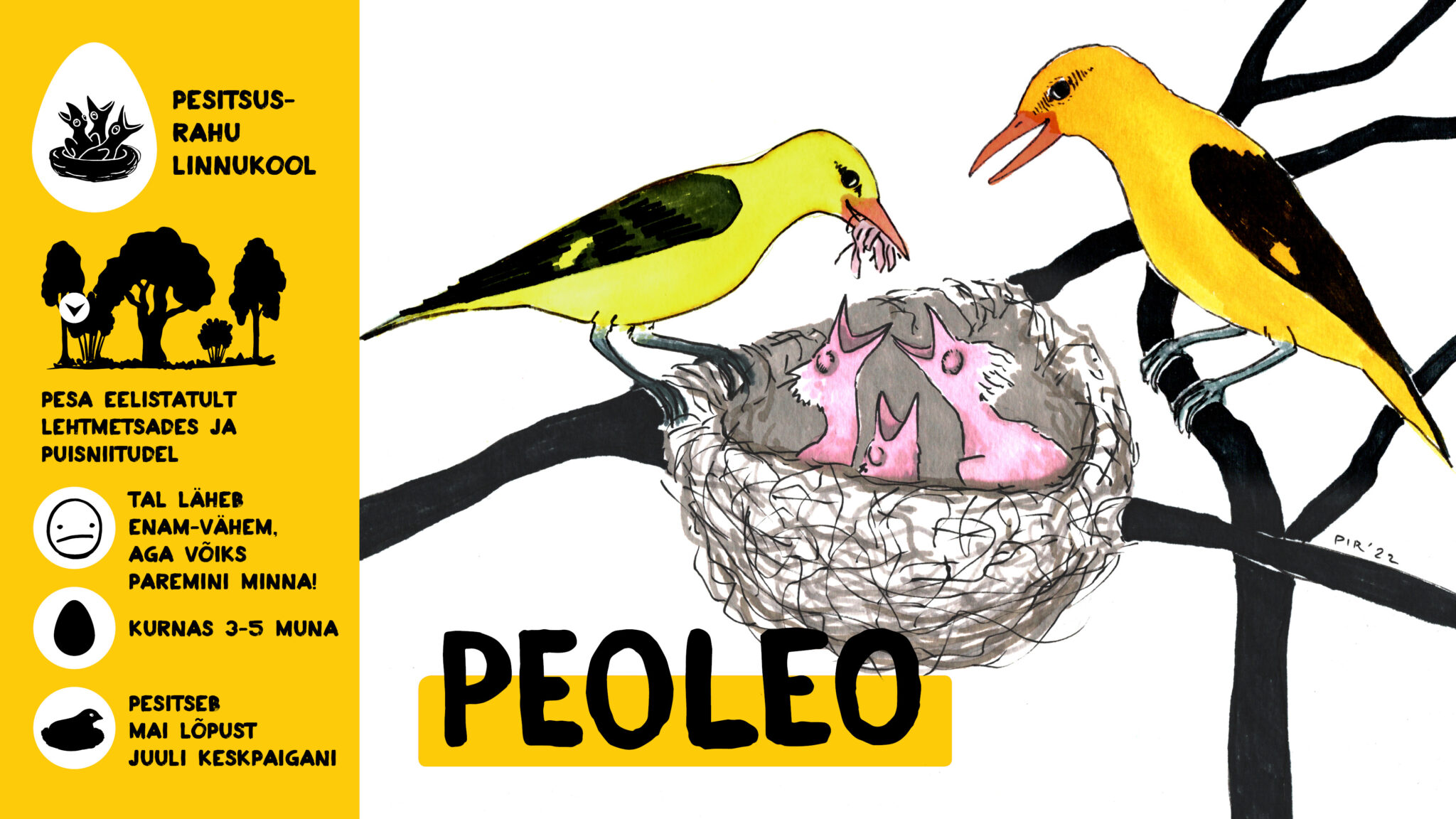 Peoleo • Päästame Eesti Metsad - Save the forest